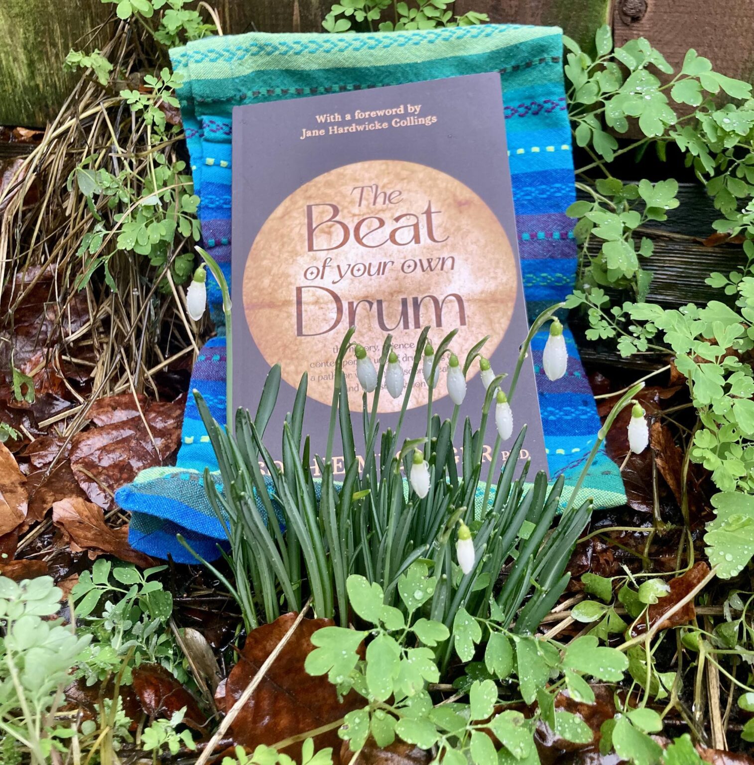 Imbolc: snowdrops and new beginnings | Sophie Messager